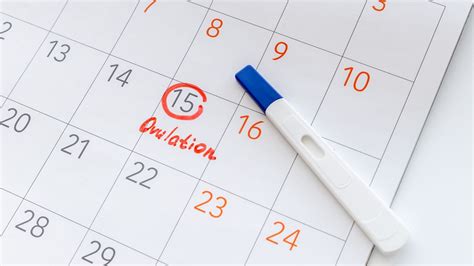 Ovarian Ovulation Hemorrhage Facilitation Of Ovarian Response By