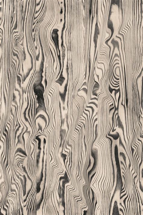 Vibrant Veneer Grey Väggmålning Drömhus Arkitektur