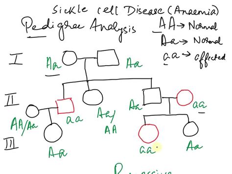 Solved Examine The Pedigree Chart Shown Below For Each Individual