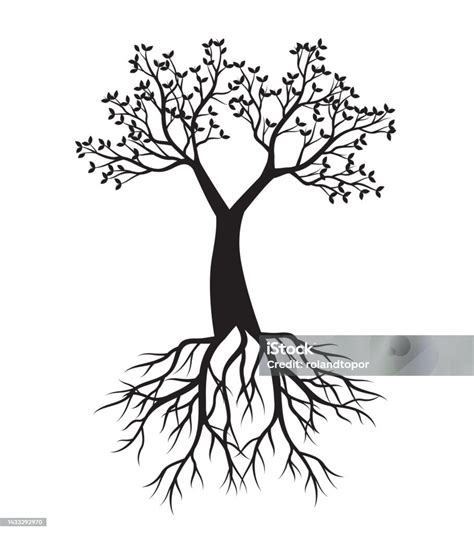 잎과 뿌리가있는 나무의 모양 벡터 윤곽선 일러스트레이션 0명에 대한 스톡 벡터 아트 및 기타 이미지 0명 건조한 계절 Istock