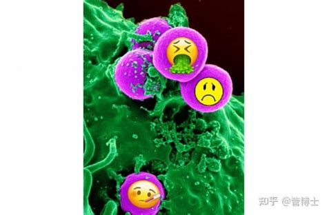 新型抗生素对抗耐药细菌 知乎