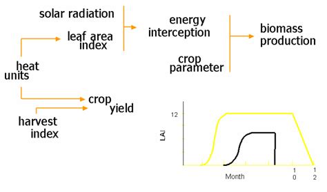 Parameterization Of Crop Production Processes For Estimating Crop Yiel Download Scientific Diagram