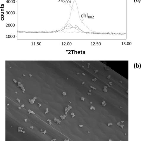 Feg Sem Images And X Ray Diffraction Traces Of The Uicc Chrysotile