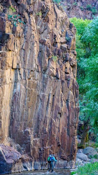 20 Aravaipa Creek Foto Foto Foto Stok Potret And Gambar Bebas Royalti Istock