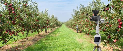 Orchard Vineyard Monitoring Systems Onset Weather Stations