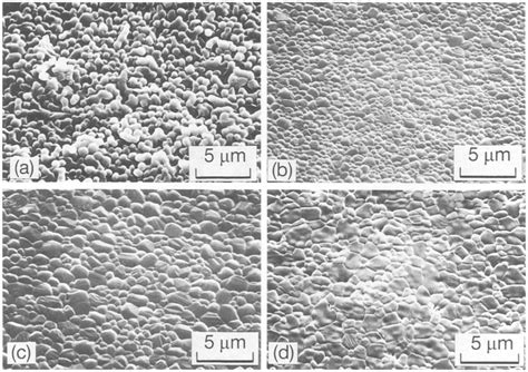 Microstructure Development At Different Sintering Temperatures