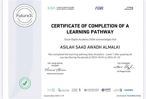 Asilah Saad On Linkedin Dataanalytics Certifications
