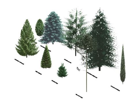 Download Trees Revit Families Bim Objects Bim Library
