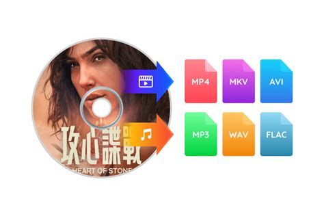 DVDFab 13 The 13th Generation Of DVDFab With All New Disc Solution And Flat Design