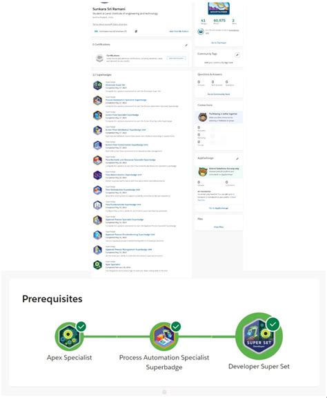 Linkedin Sri Ramani Sunkara 페이지 Salesforcedeveloper