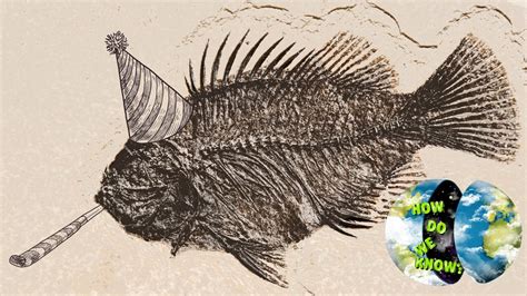 How Do We Know How Old Fossils Are