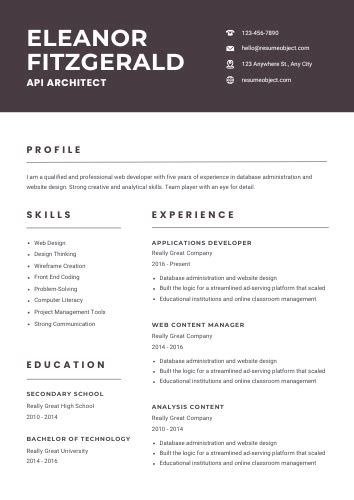 Api Architect Resume Sample Format Examples Free Template Resume