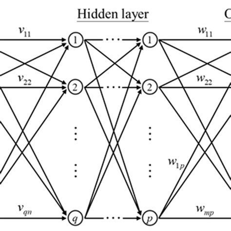 The Structure Of Bpn Download Scientific Diagram