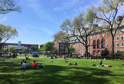 Brooklyn College Spring 2025 Venus Jeannine