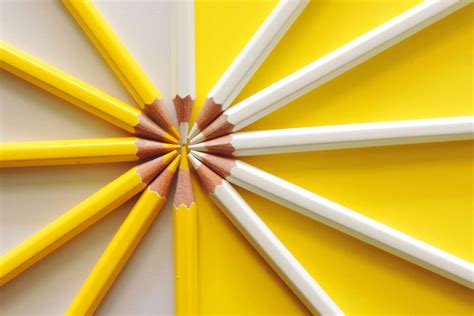 Unity In Photography Examples