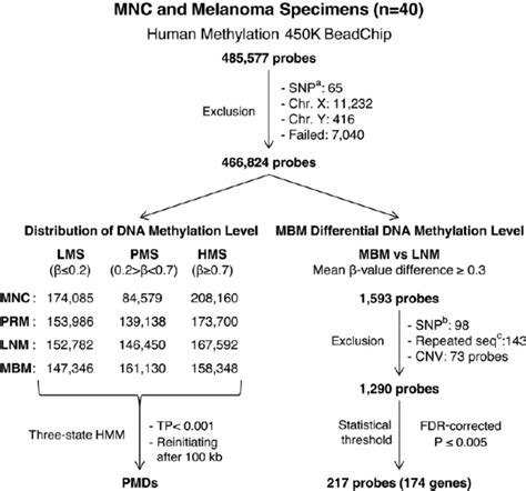 Diagram Of Dna Methylation Analysis Pipeline Snp A Probes Designed
