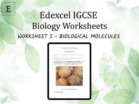 Edexcel Igcse Biology Worksheet 5 Biological Molecules Teaching