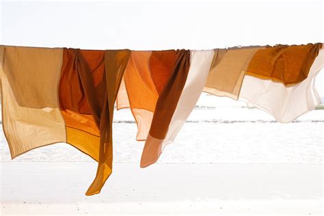 Introducing The Eclipse Throws Pampa Journal