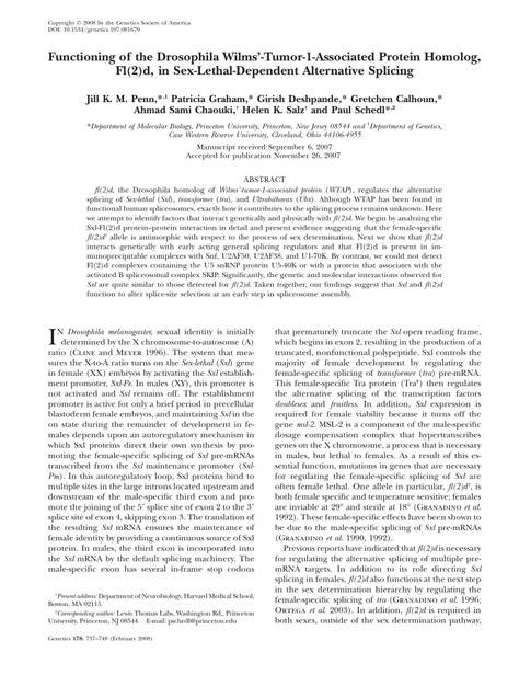 Pdf Functioning Of The Drosophila Wilms Tumor 1 Associated Protein Homolog Fl 2 D In Sex