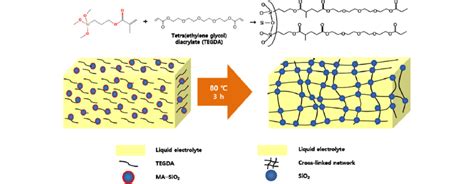 Schematic Illustration For Synthesis Of Quasi Solid State Hybrid Download Scientific Diagram