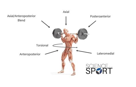 Force Vector Training