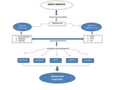 Mapa Conceptual Del Respeto Arbol