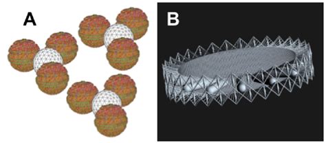 Tensegrity Structures And Their Self Assembly Ageodesic Spheres Download Scientific Diagram