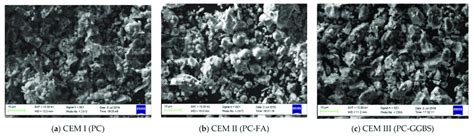 Sem Micrographs Of Cem I Pc A Cem Ii Pc Fa B And Cem Iii
