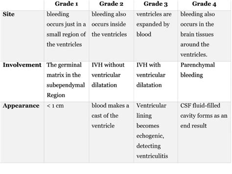 Intraventricular Brain Hemorrhage Neuropedia