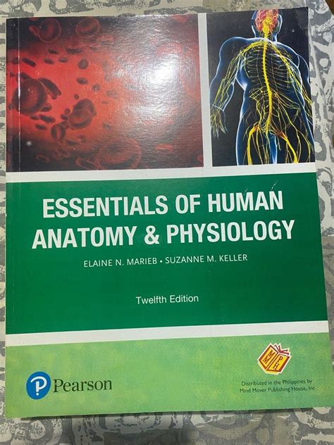 Essentials Of Human Anatomy And Physiology 12th Edition Hobbies And Toys
