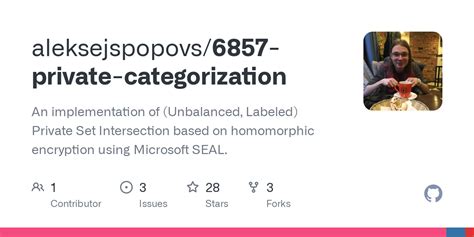 Github Aleksejspopovs 6857 Private Categorization An Implementation