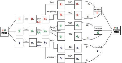encoding procedure from left to right download scientific diagram