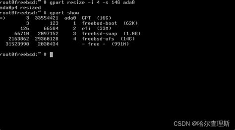 freebsd安装 图形化 freebsd安装图形界面 csdn博客
