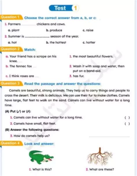 نماذج امتحانات إنجليزي للصف الرابع الابتدائي امتحان شهري أكتوبر ونوفمبر