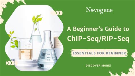 A Beginners Guide To Chip Seqrip Seq A Beginners Guide To Chip Seqrip Seq