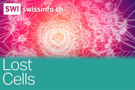 Ai Generated Rat Genitalia Swiss Publisher Of Scientific Journal Under Pressure Swi Swissinfoch