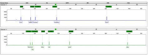 细胞10种属鉴定及10种属间交叉污染检测（方法学验证） 苏州琪霖智检细胞生物技术有限公司 端粒酶检测 Hla分型检测