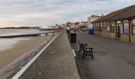 Burnham Seafront Trees Project Halted As Organiser Blames Council Red Tape