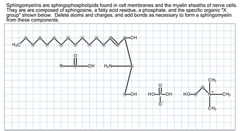 Solved Sphingomyelins Are Sphingophospholipids Found In Cell