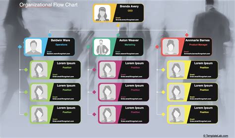 Best Flow Chart Templates For Microsoft Word Theme Junkie Free Word Template