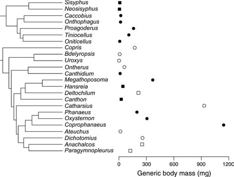 Phylogenetic Relationships For 24 Scarabaeine Dung Beetle Genera And
