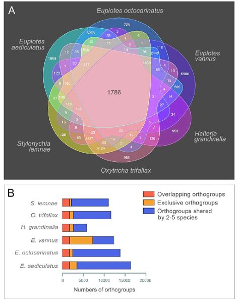 An Overview Of Orthogroups From Euplotes Aediculatus Euplotes Vannus