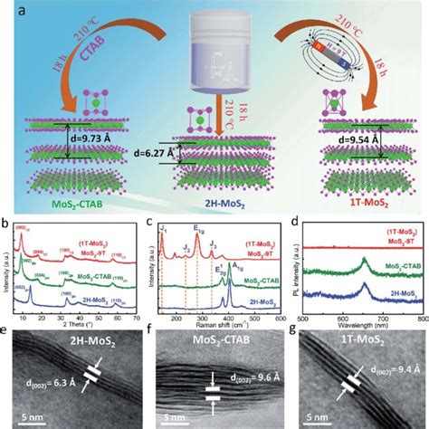 Synthetic Schematic And Characterization Of Samples A Schematic Download Scientific Diagram