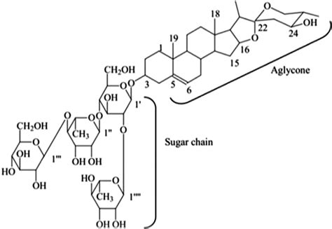Structure Of Saponin Chaieb 2010 Download Scientific Diagram