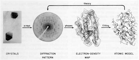 X Ray Diffraction Pattern Dna