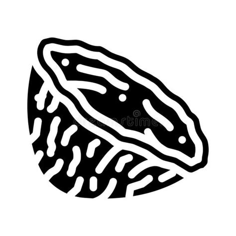 Coconut Shell Sustainable Beauty Glyph Icon Vector Illustration Stock