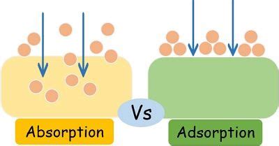 Difference Between Absorption And Adsorption With Comparison Chart Bio Differences