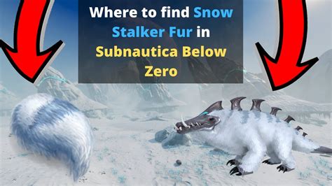 How To Get Snow Stalker Fur In Subnautica Below Zero Youtube
