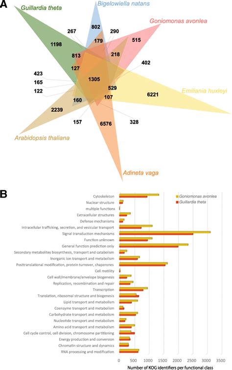 Comparative Genomics Of Goniomonadea Cryptophyceae And Other