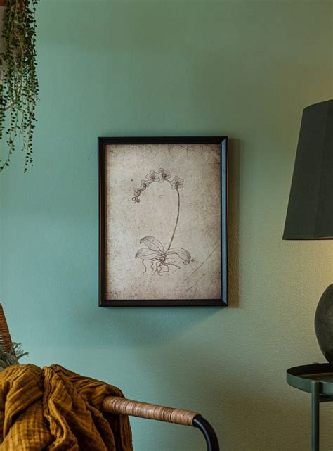 Unicidade Sofia Dinis